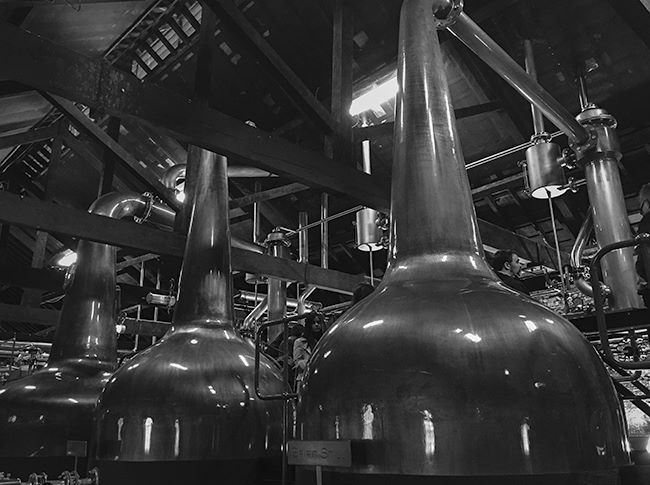 Tasting Notes | WhiskyCast